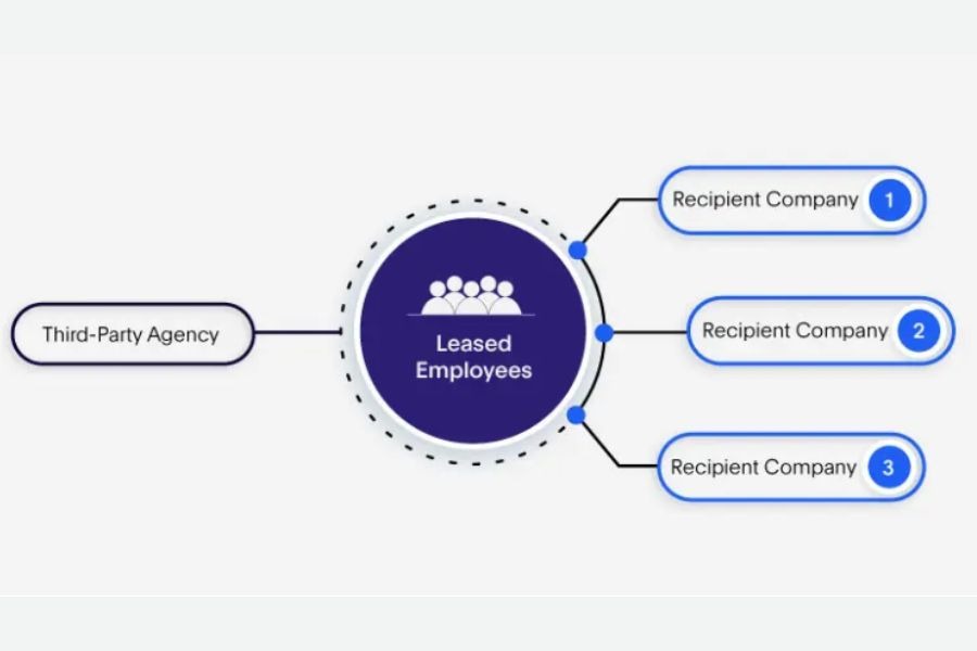 9 Types Of Employment: A Detailed Breakdown - ERA
